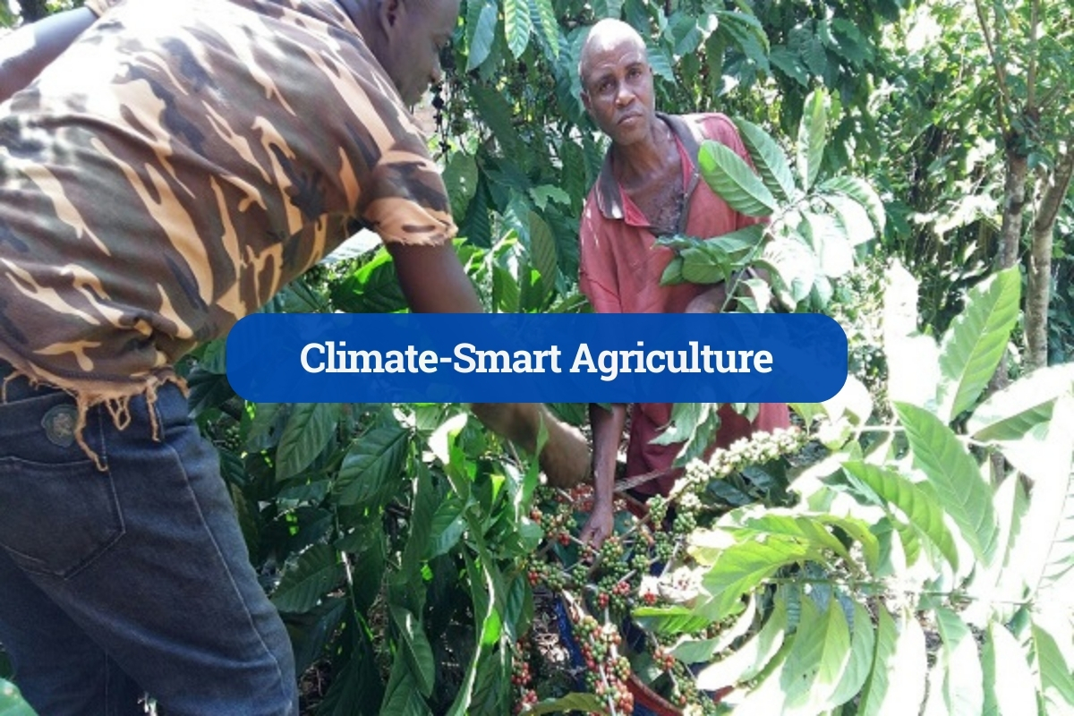 Climate-Smart Agriculture