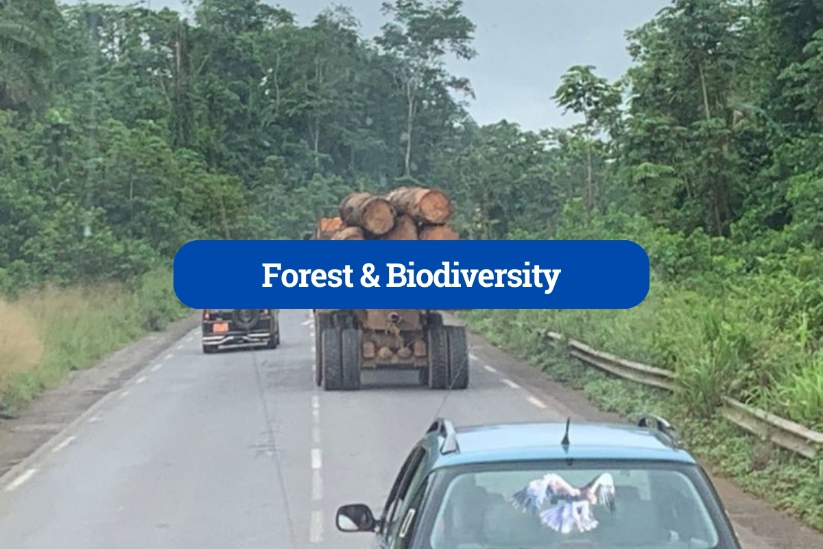 Forest & Biodiversity