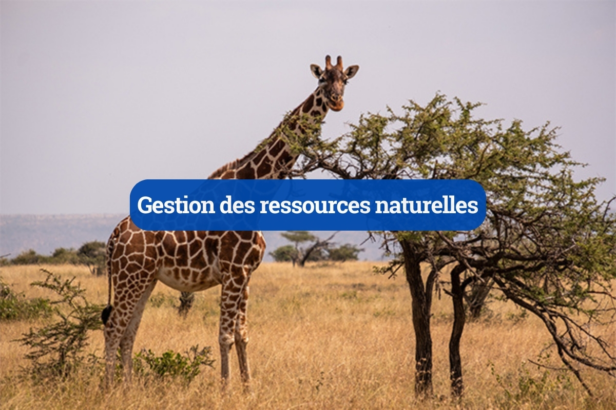 Gestion des ressources naturelles