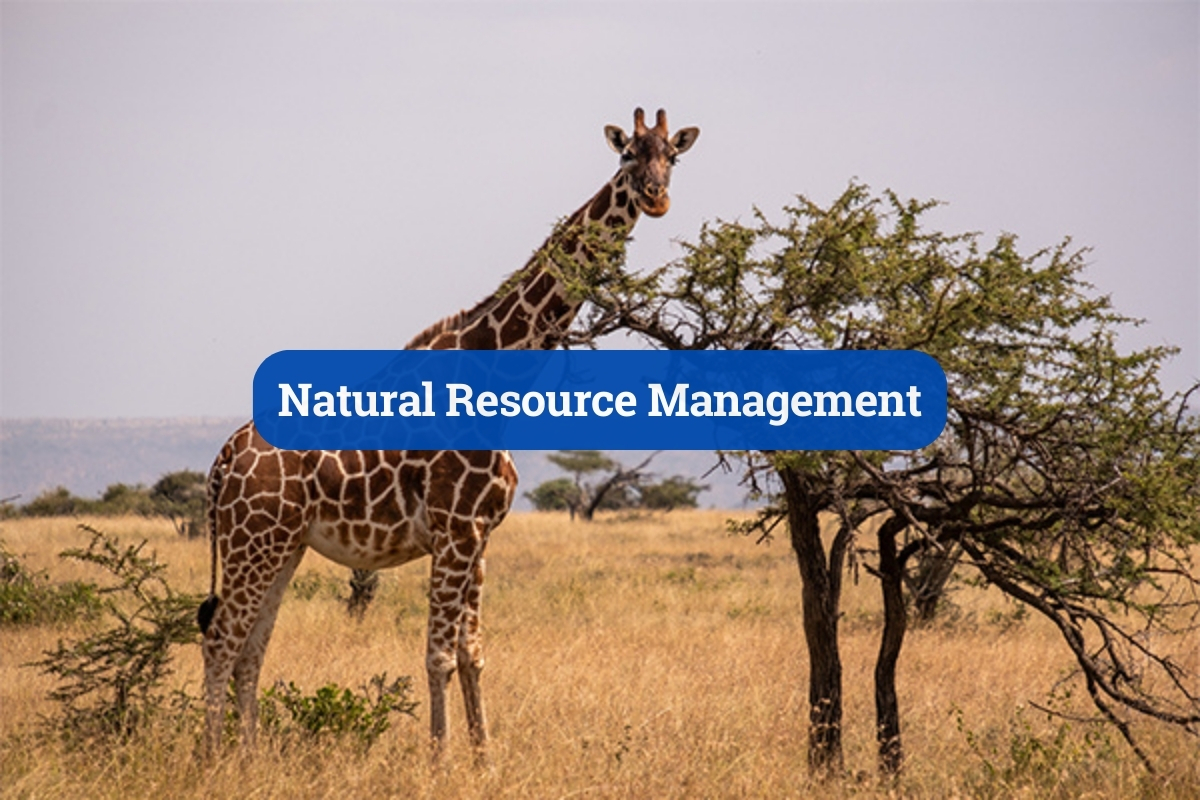 Natural Resource Management